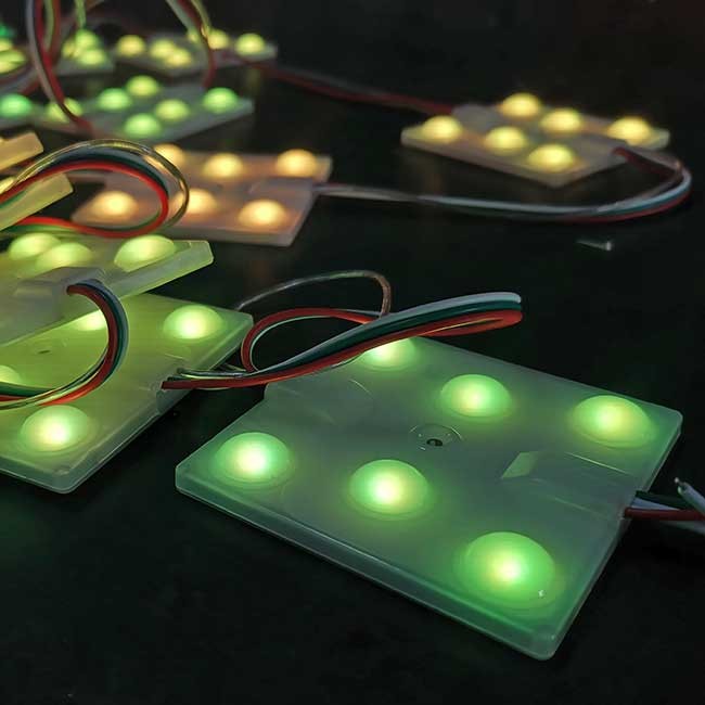 Addressable 6 Chip Programmable RGB LED Module String Lights (25-Pack ...